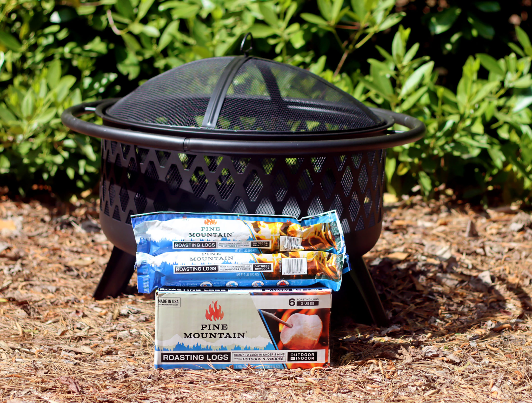 Roasting Logs - Pine Mountain