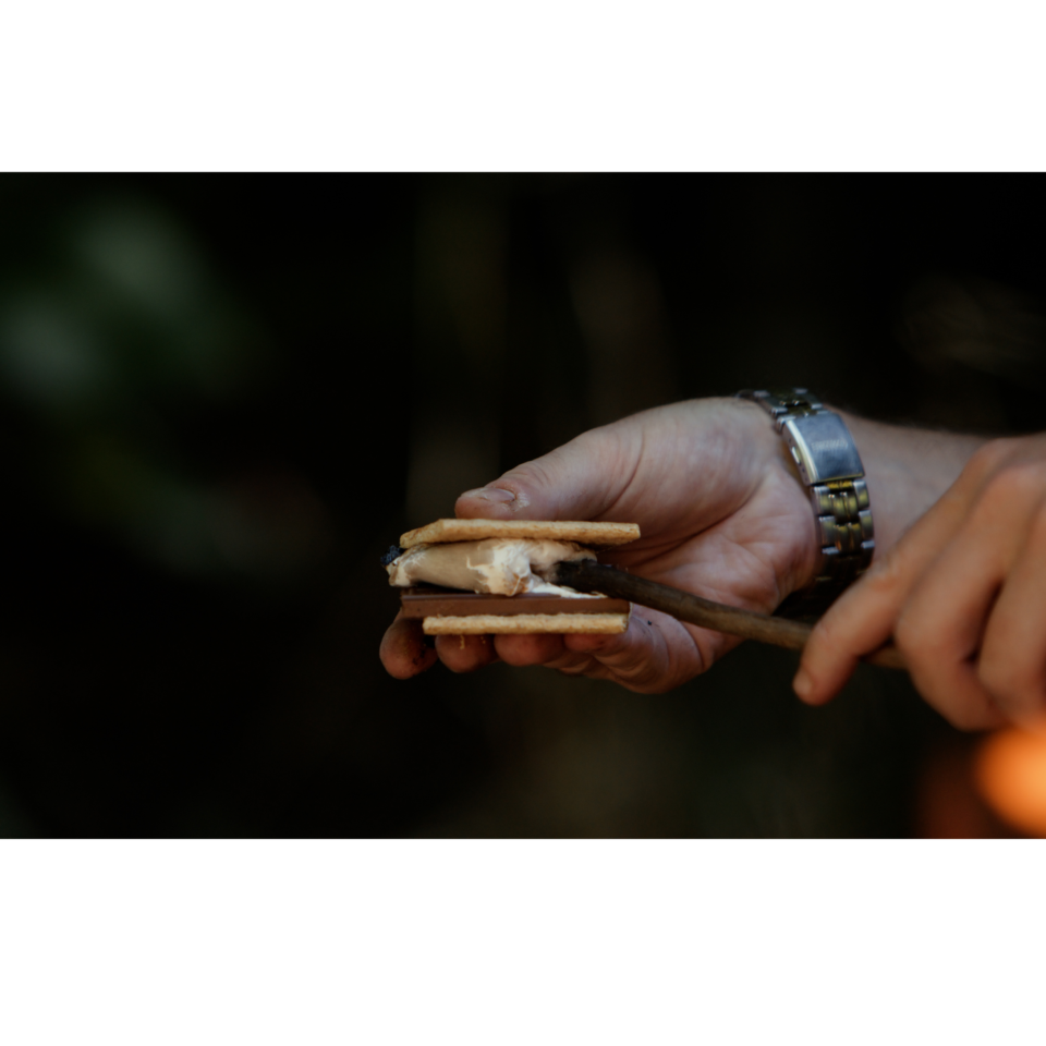 Hershey’s Roasting Log - Pine Mountain